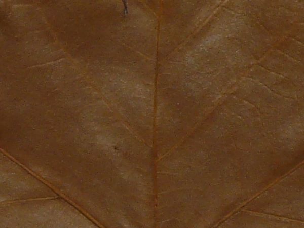 texture 0001 - Texturelib